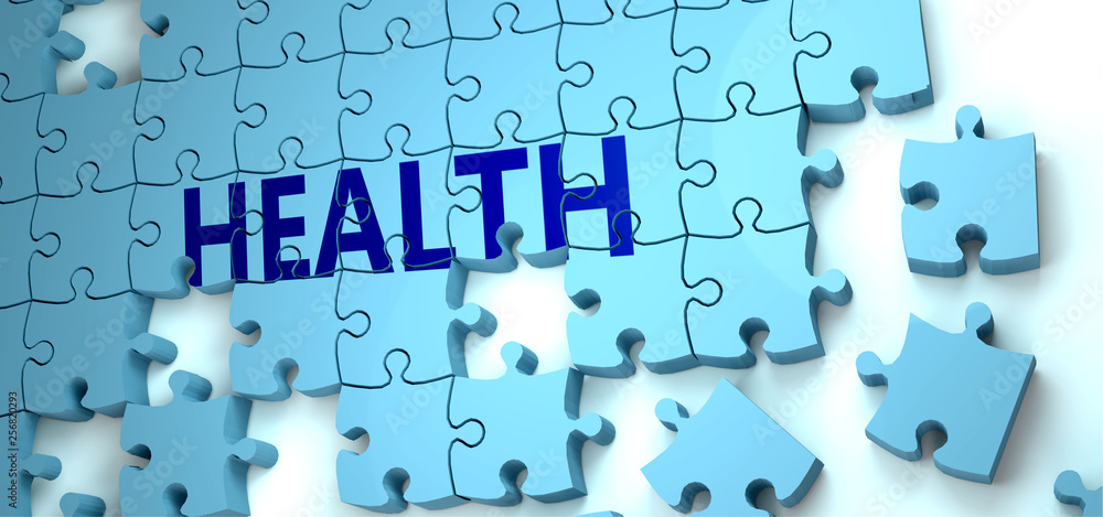 Health puzzle - complexity, difficulty, problems and challenges of a ...