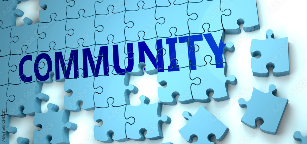 Community puzzle - complexity, difficulty, problems and challenges of a ...