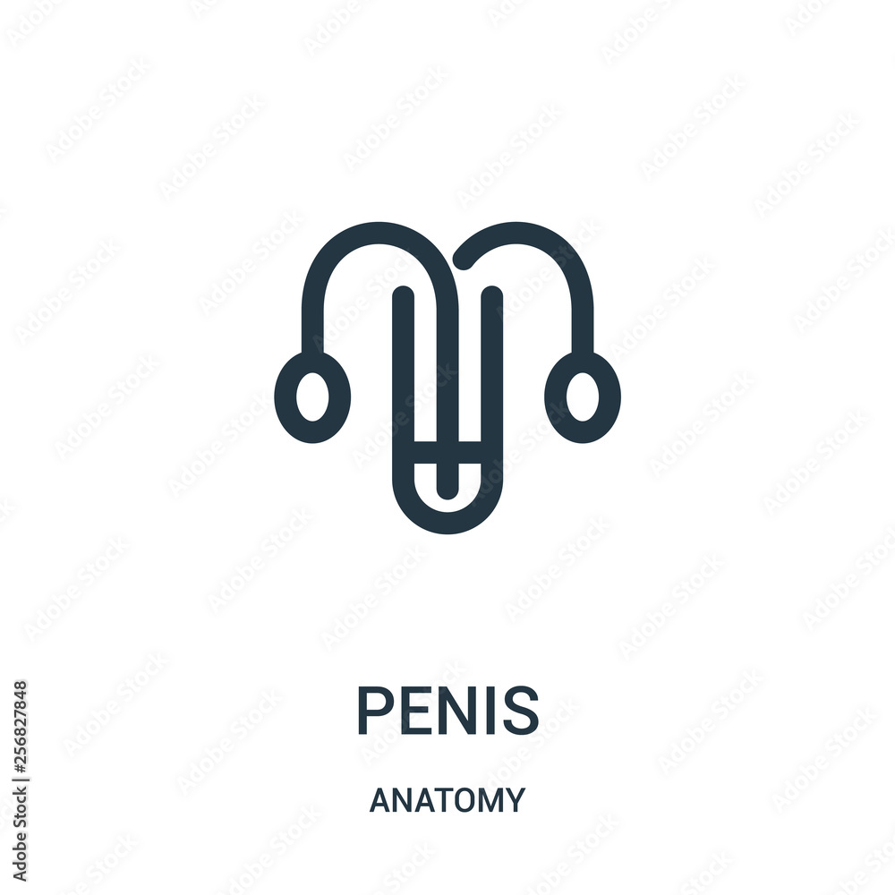 penis icon vector from anatomy collection. Thin line penis outline icon ...