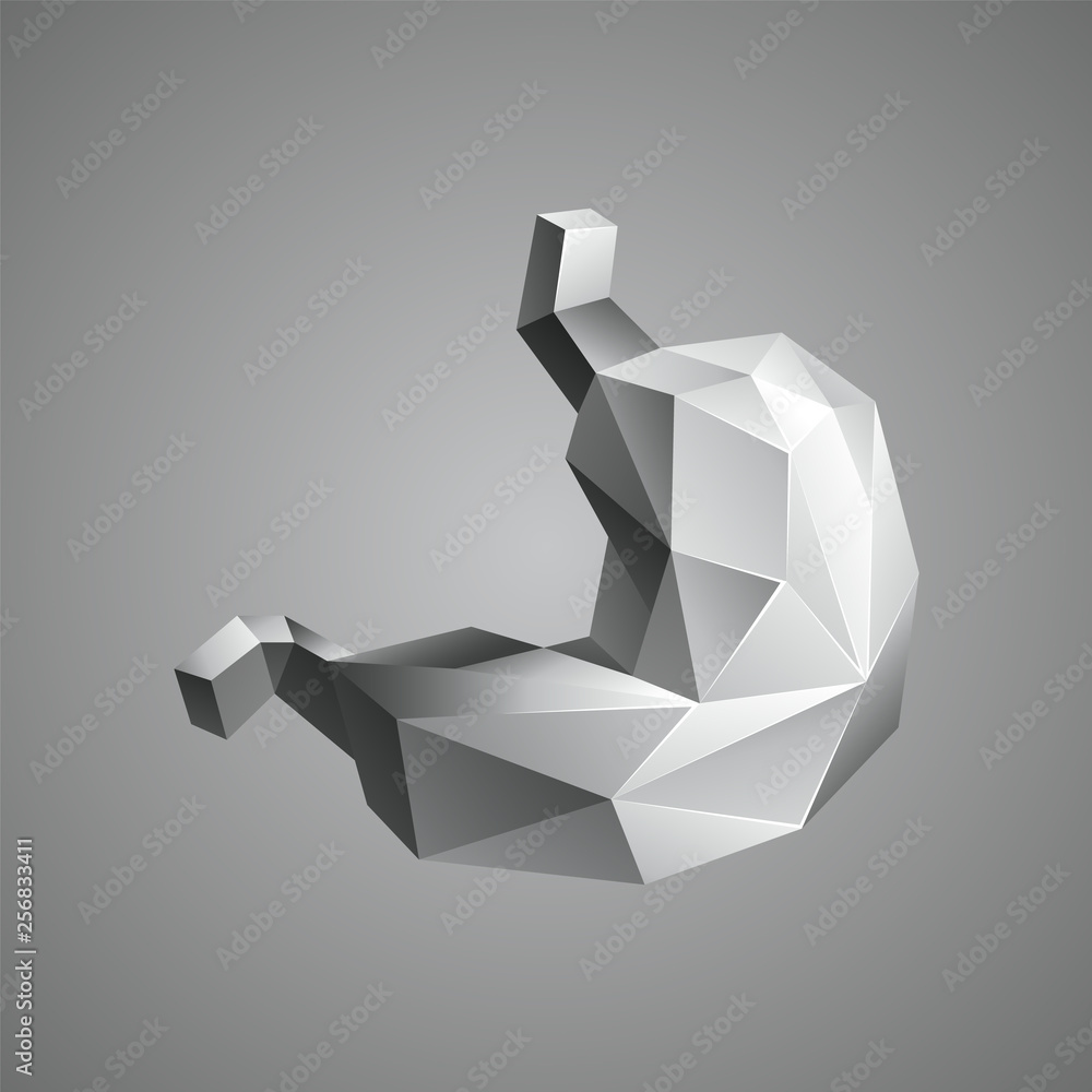 Gray low poly human stomach. Abstract anatomy organ. Stomach in 3D ...