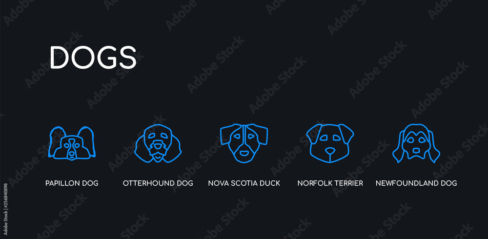 5 outline stroke blue newfoundland dog, norfolk terrier dog, nova ...