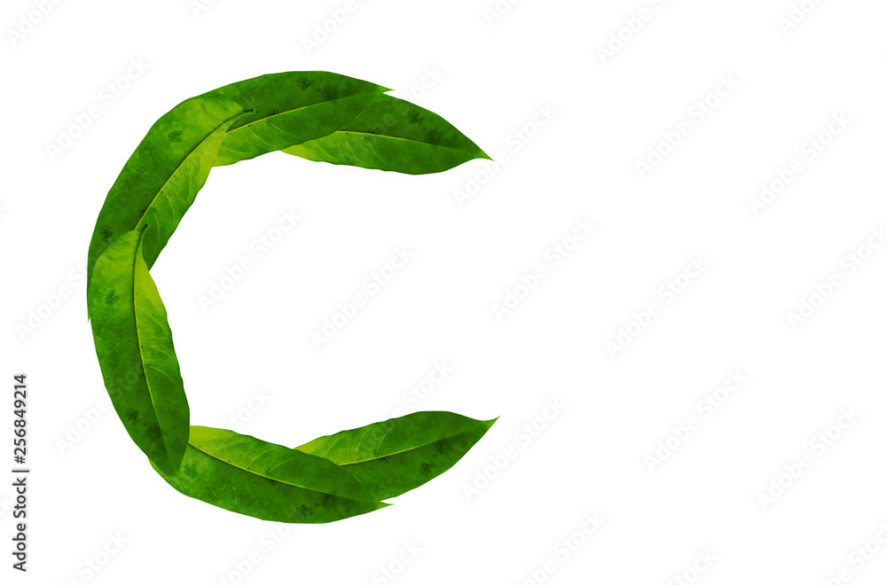 Green leaf letter C Background image. Natural Forest leaf alphabet ...