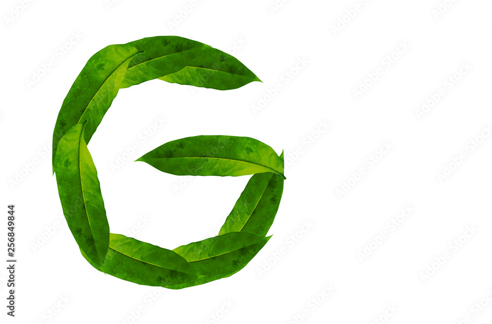 Green leaf letter G Background image. Natural Forest leaf alphabet ...