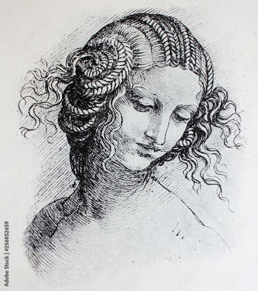 Head of the girl by Leonardo Da Vinci in a vintage book Leonard de ...