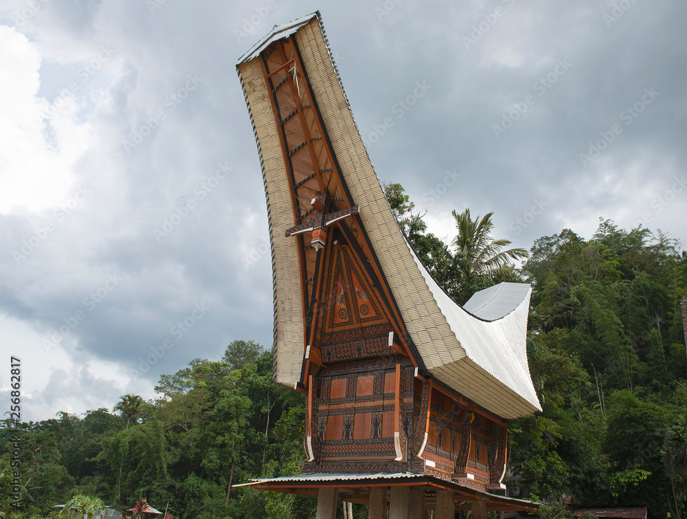 Tongkonan houses, traditional Torajan buildings, Tana Toraja, Sulawesi ...