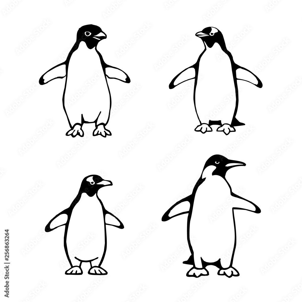 Penguin different kinds, set of black and white icons Stock Vector ...