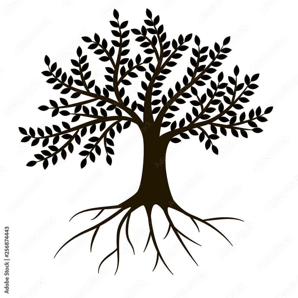 Silhouette tree with roots isolated on white background. Vector ...