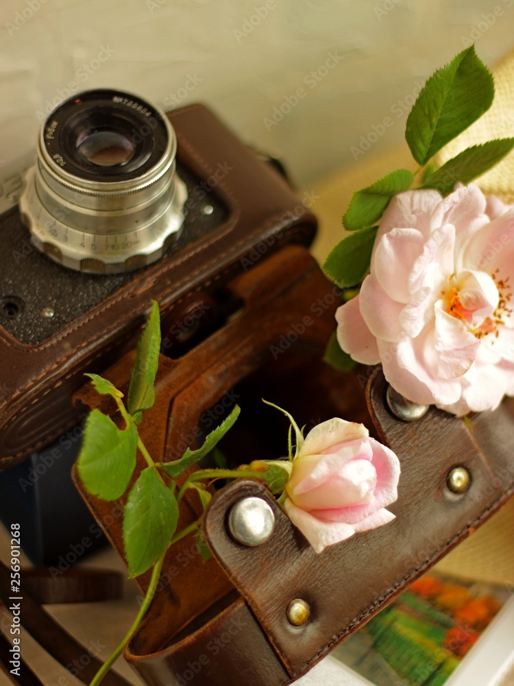 Old camera with brown leather cover and cut rose on light background ...