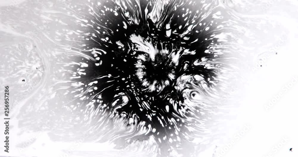 Black Invasion of Purity. A drop of black ink on white paper falls and ...