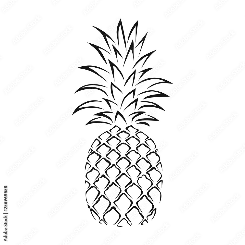 Pineapple icon isolated on white background. Vector food illustration ...