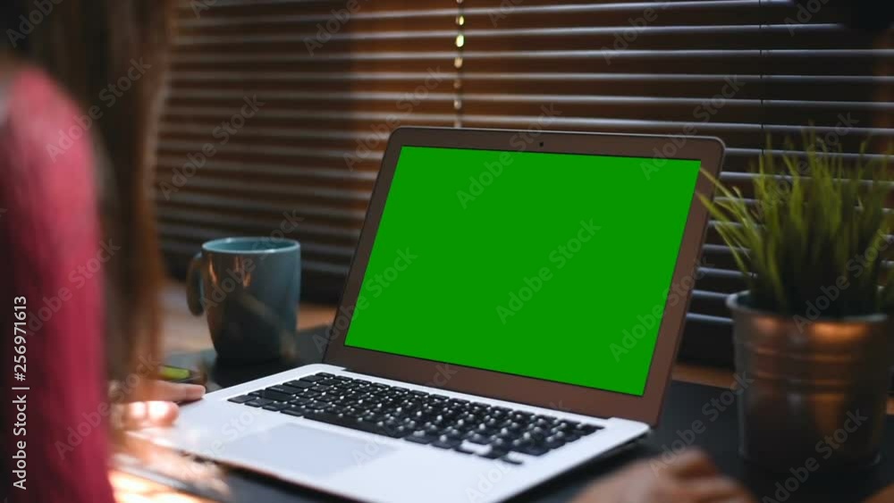 Close-up of a Woman's Hands Working on Green Screen on a Laptop. A Girl ...