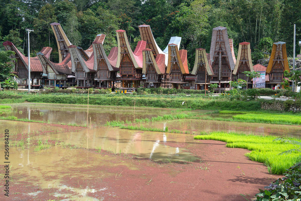 Tongkonan houses, traditional Torajan buildings, Tana Toraja, Sulawesi ...