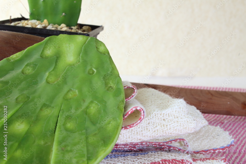 El nopal es un alimento típico mexicano. Se trata de una especie de ...
