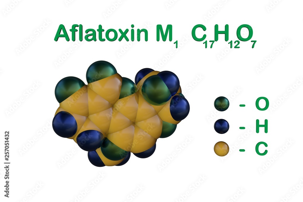 Structural chemical formula and molecular model of aflatoxin M1 ...