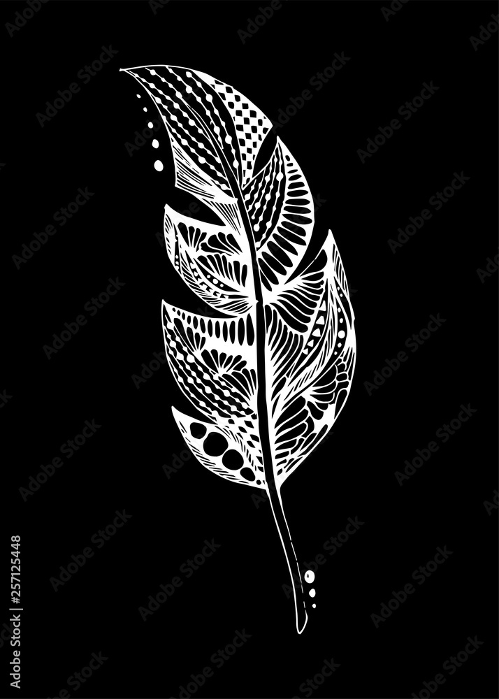 Hand-drawn white feather with doodle patterns on black background. Hand ...