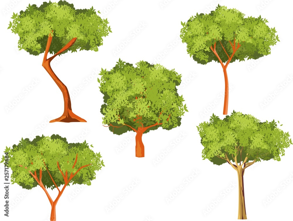 Vector trees set isolated on white vector Stock Vector | Adobe Stock