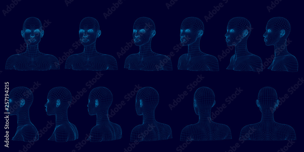Vecteur Stock Set with bust of girl in different positions. Wireframe ...