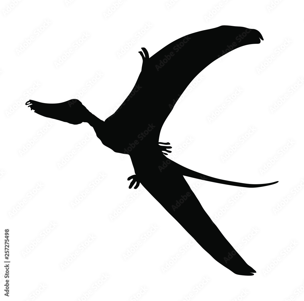 Cearadactylus vector silhouette isolated on white background. Dinosaurs ...