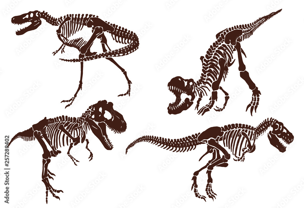 Graphical vintage set of dinosaur skeletons ,retro background,vector ...