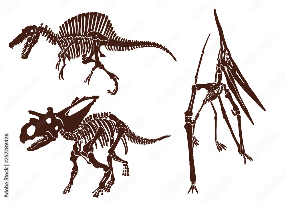 Graphical vintage set of dinosaur skeletons ,retro background,vector ...