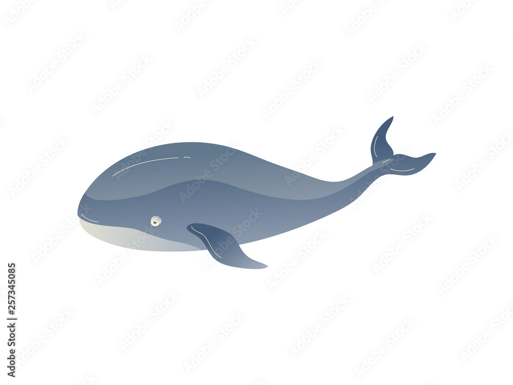 Cartoon whale on white background. Underwater world. Stock Vector ...