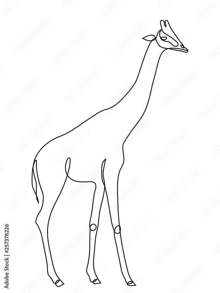 giraffe continuous line drawing Stock Illustration | Adobe Stock