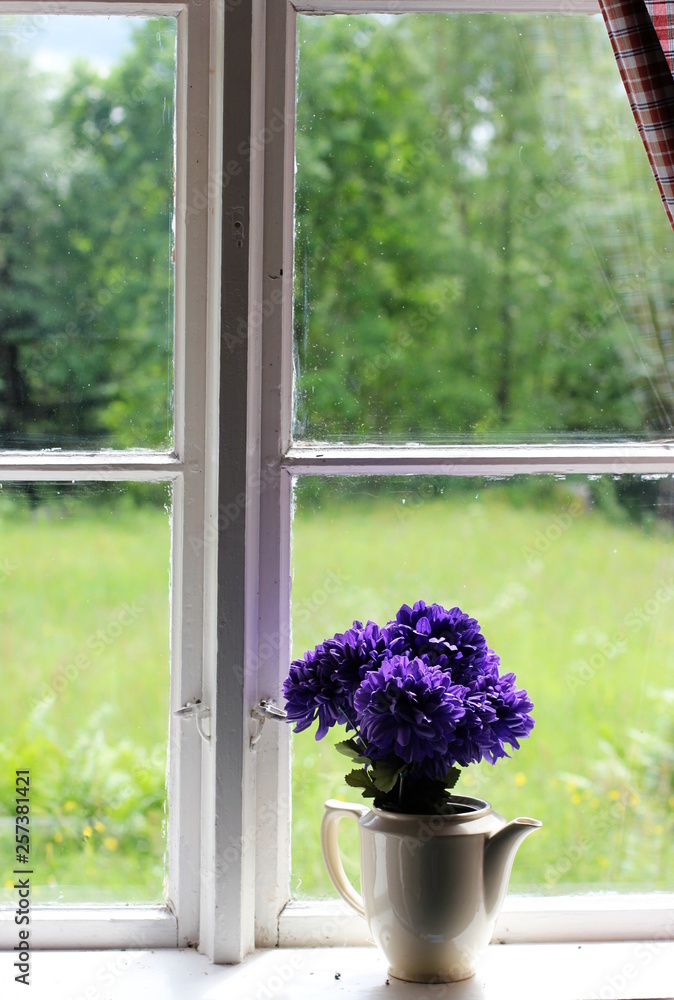 Purple flowers in a window of an old summer cottage with a view over an ...