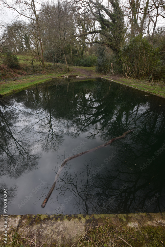 Victorian swimming pool Lanhydrock House Cornwall Stock Photo | Adobe Stock