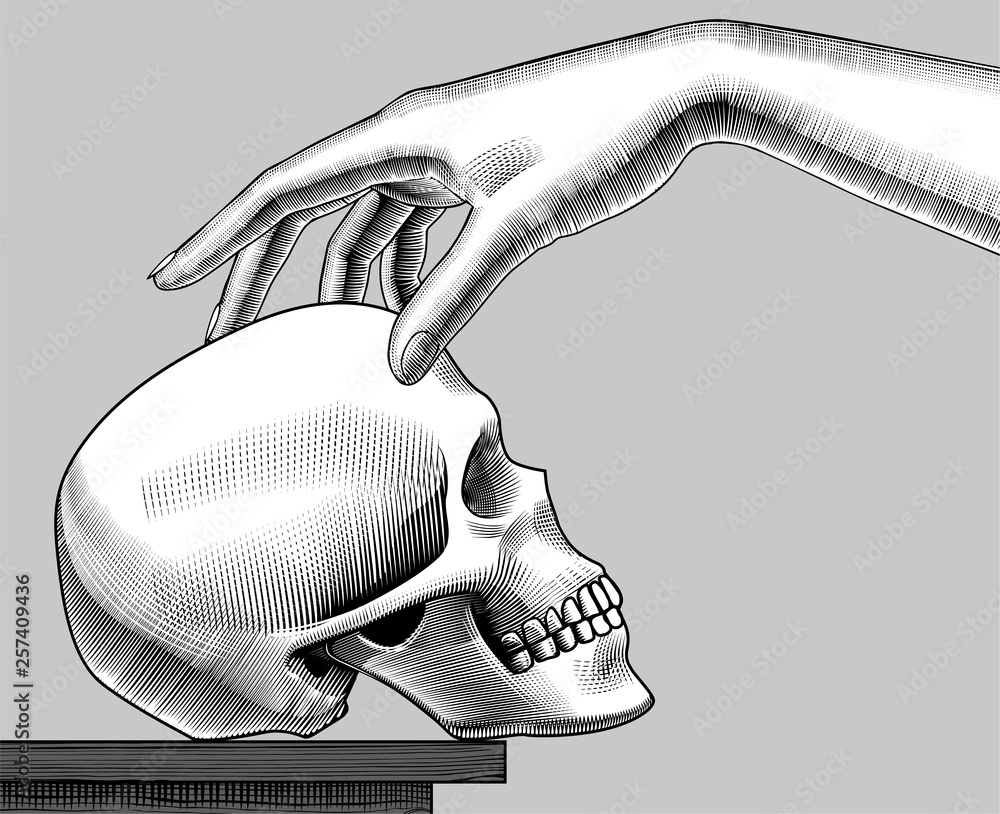 Half Human Half Skeleton Face Drawings
