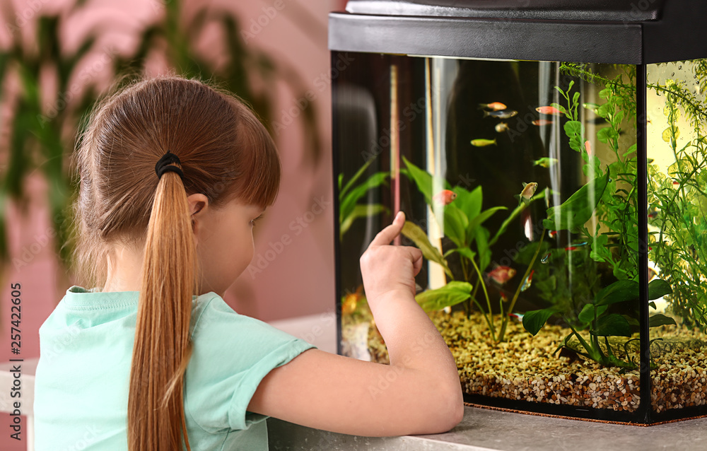 Cute little girl looking at fish in aquarium Stock Photo | Adobe Stock