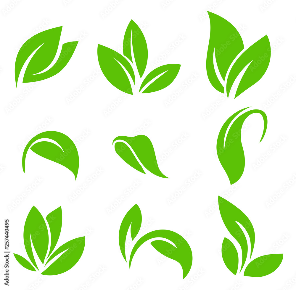 Leaves icon vector set isolated on white background. Various shapes of ...