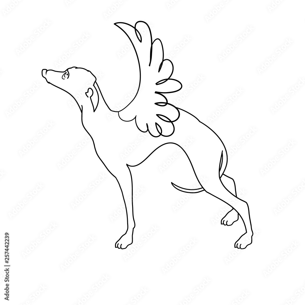 Elegant Greyhound with wings drawn in one line. Vector illustration of ...