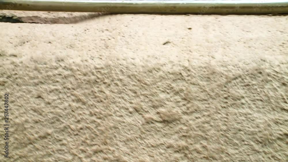 Vidéo Stock Pulp production. Washing and bleaching of wood pulp ...