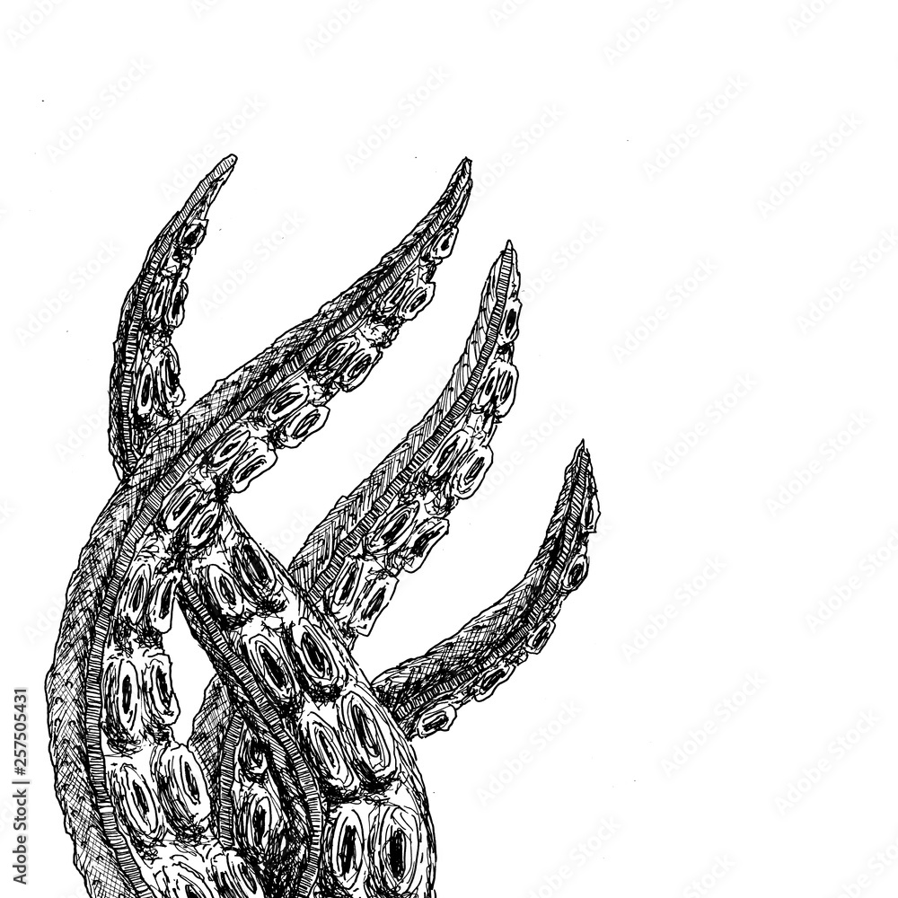 Hand Drawn Pen Ink Monster Octopus Tentacles Drawing Stock Illustration ... Hand Drawn Pen Ink Monster Octopus Tentacles Drawing Stock Illustration ...