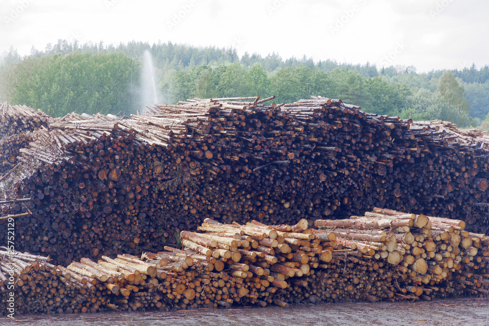 Timber waitiing to be pulp at the pulp and paper mill Stock Photo ...