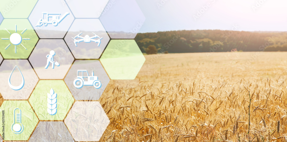 Digital icons for management and monitoring agriculture Stock Photo ...