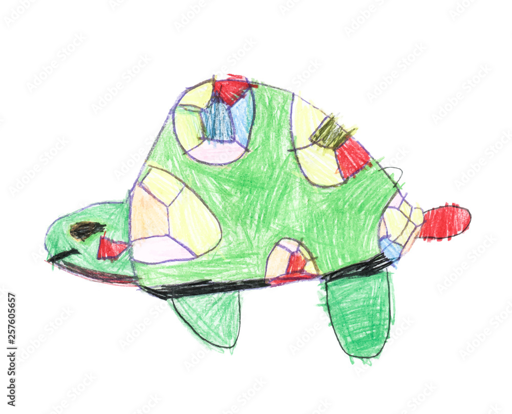 Turtle Drawing For Kids