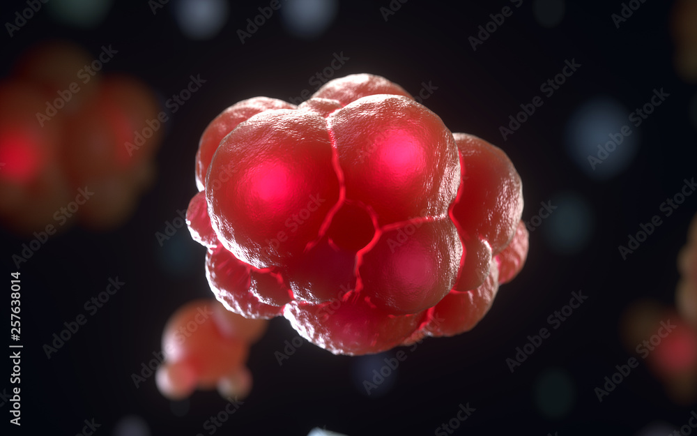 Cells under a microscope,Cell division, 3d rendering,conceptual image ...