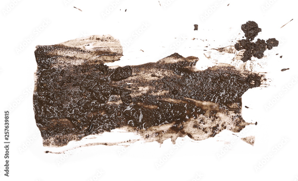 Mud splatter isolated on white background, with clipping path Stock ...