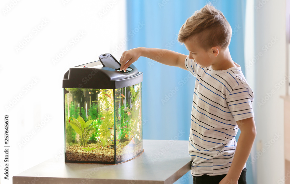 Cute little boy feeding fish in aquarium Stock Photo | Adobe Stock Cute little boy feeding fish in aquarium Stock Photo | Adobe Stock