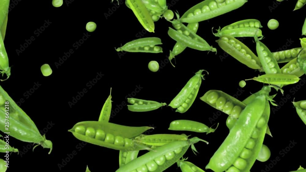 Falling PIE Animation, Background, Loop, with Alpha Channel, 4k Stock ...