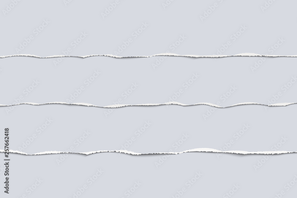 Torn paper strip set realistic vector illustration tear paper edges for ...