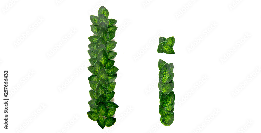 Letter I, English alphabet, made of green spring leaves. Isolated on ...