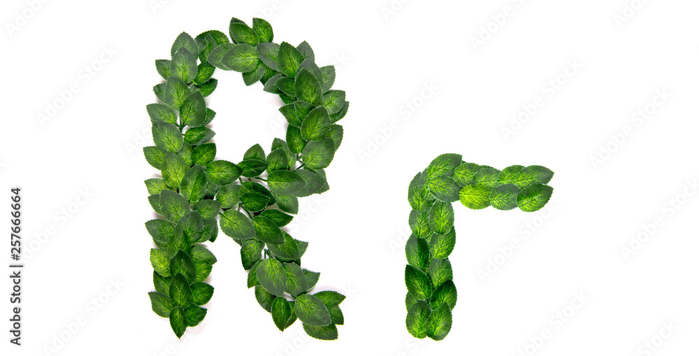 Letter R, English alphabet, made of green spring leaves. Isolated on ...