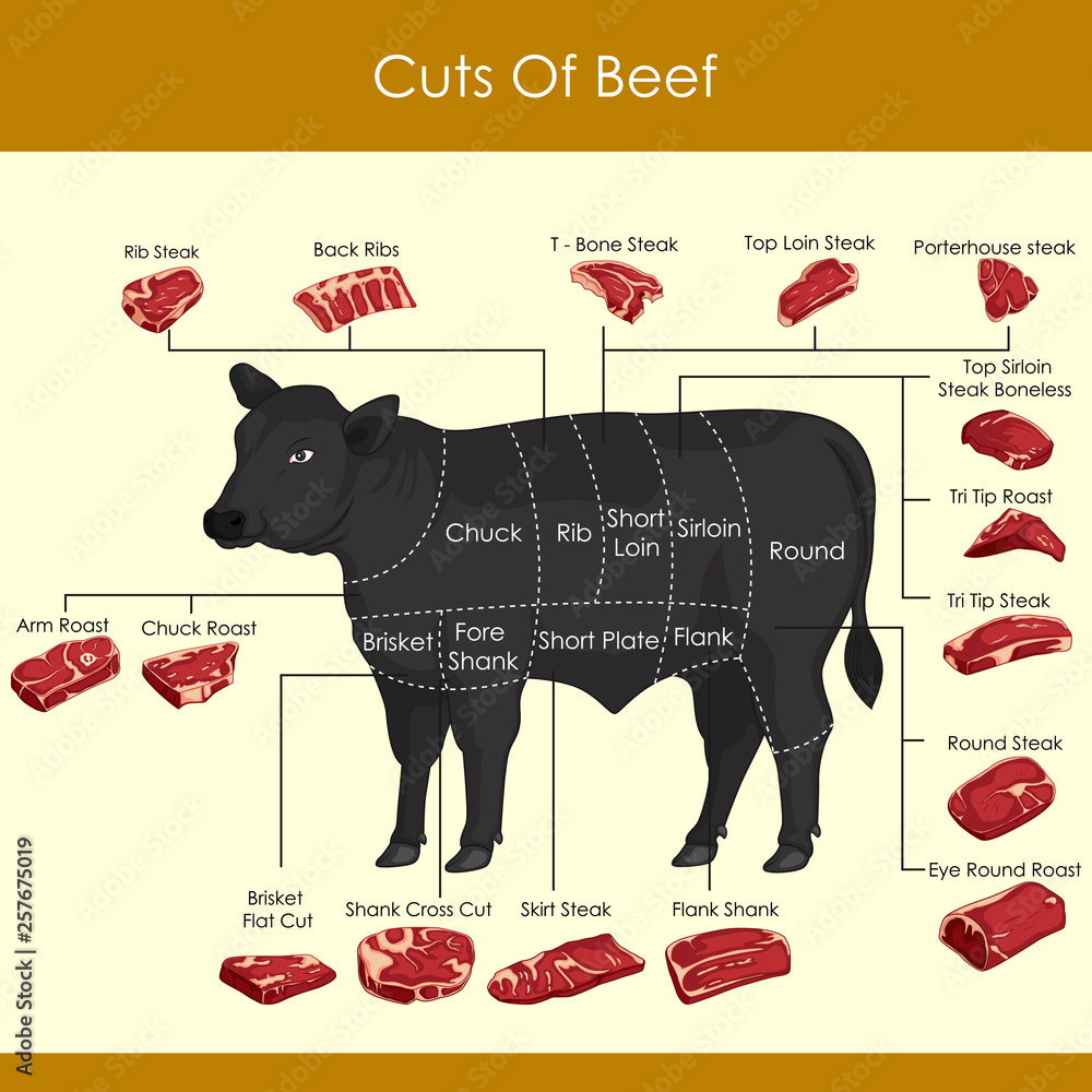 easy to edit vector illustration of different cuts of Beef Stock Vector ...