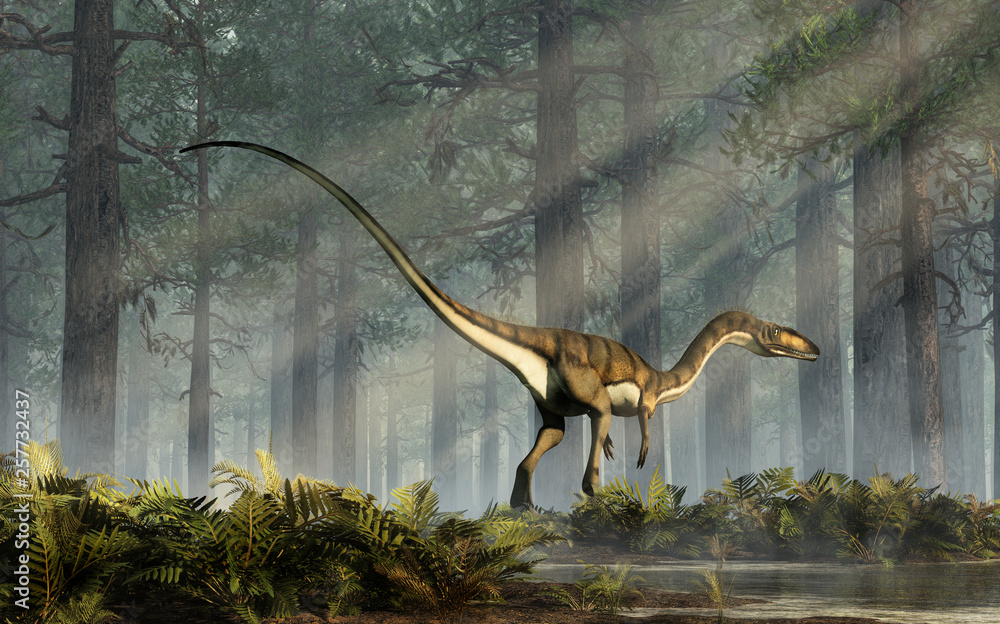 Coelophysis, one of the earliest dinosaurs, was a carnivorous theropod ...