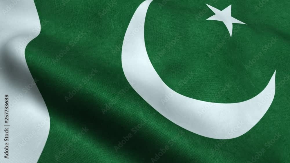 Pakistan Flag Seamless Looping Waving Animation Stock Video | Adobe Stock