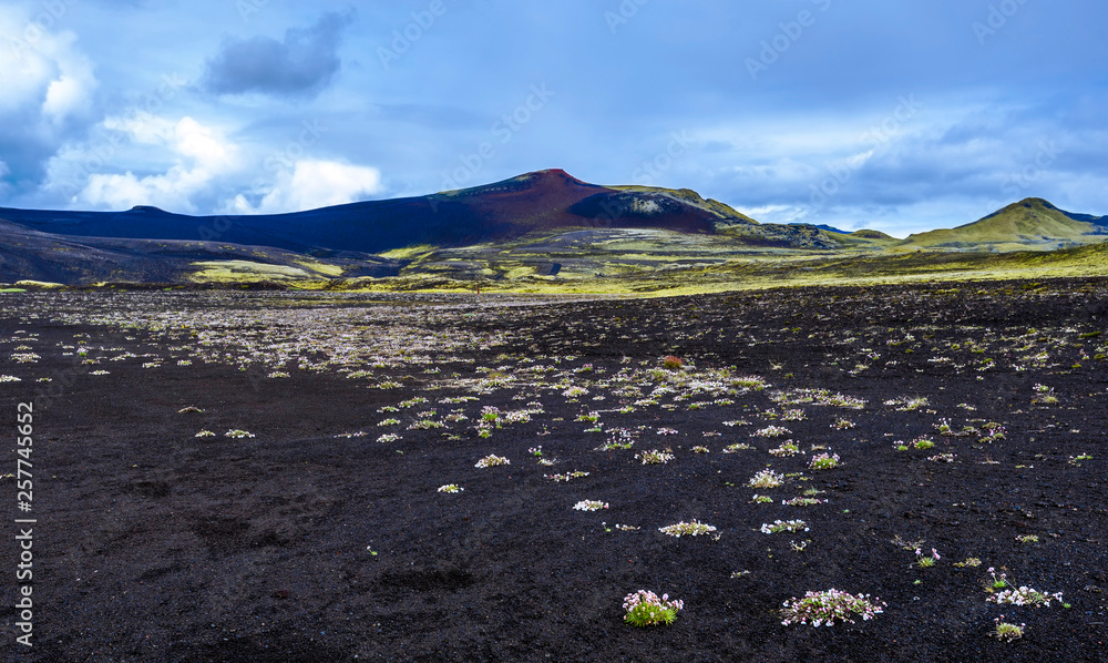 Volcanic Ash On Ground