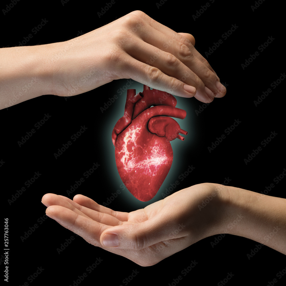 Healthy Human Heart Pictures