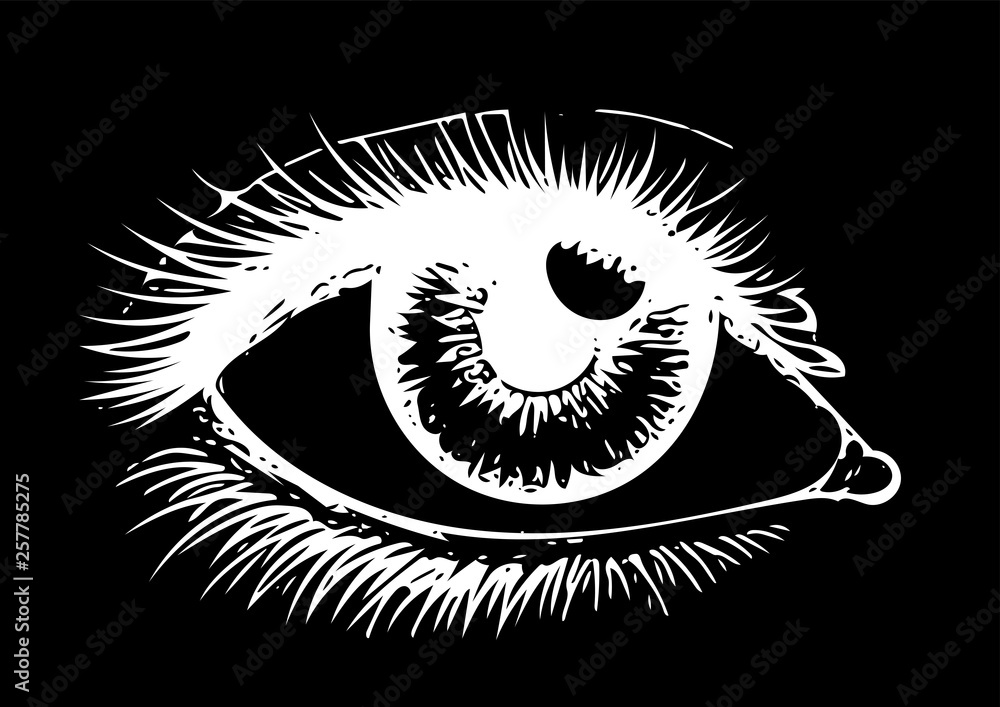 Eye on black background. Eyes art. Woman eye. The eye logo. Eyes art ...